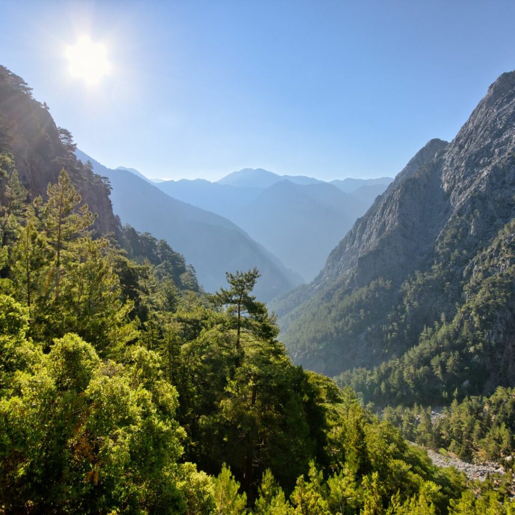 Ovčarsko-kablarska klisura “Silent walk” - Trinity Method