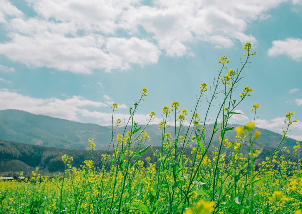 Family Tour - Fruškać - Trinity Method